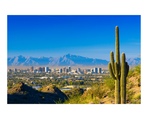 Phoenix Cannabis Banking, CBD Banking | Herring Bank